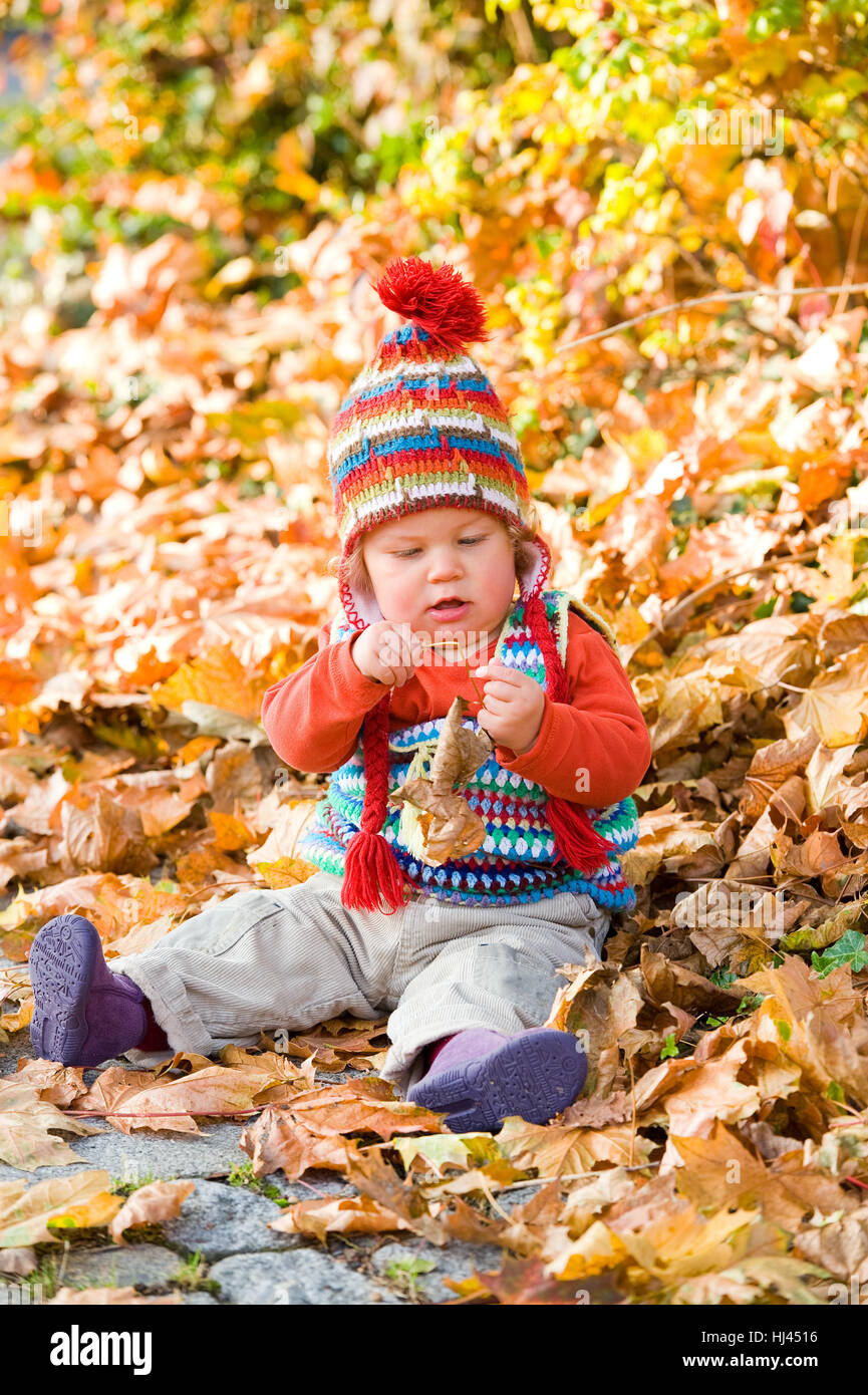 baby is sitting in autumn foliage Stock Photo - Alamy