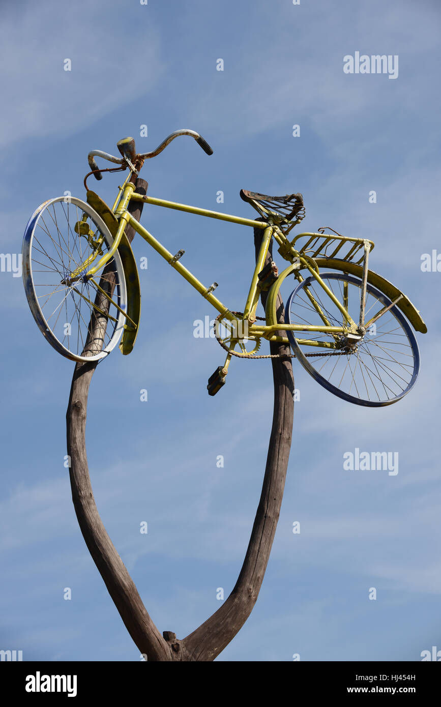 blue, sport, sports, tree, wood, branch, outdoor, outside, rusty, one ...