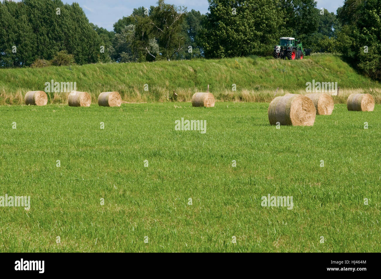 agriculture, farming, corn field, hay, straw, season, nature, fall ...
