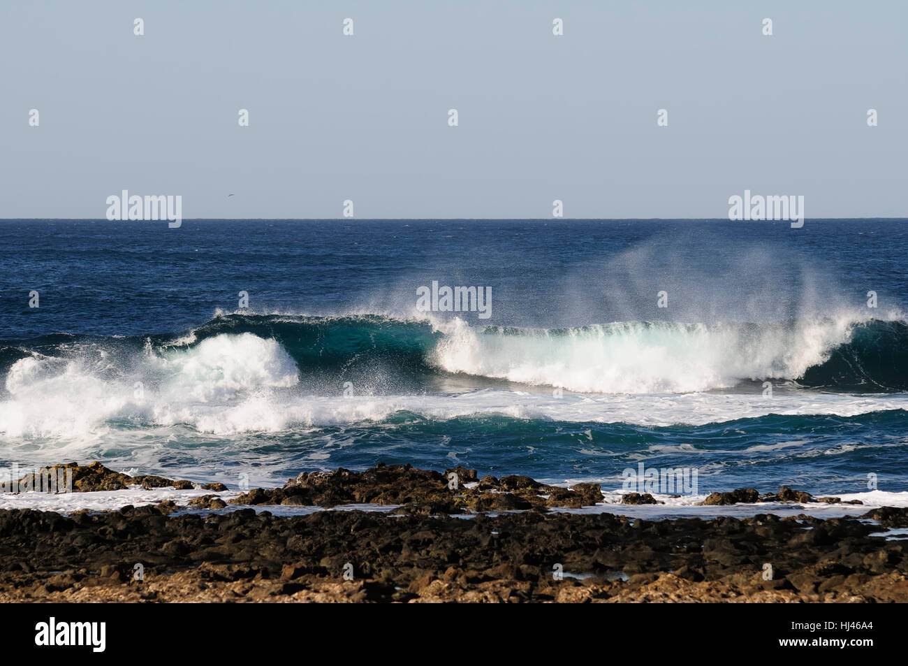 atlantic ocean, salt water, sea, ocean, water, canary islands, isle ...
