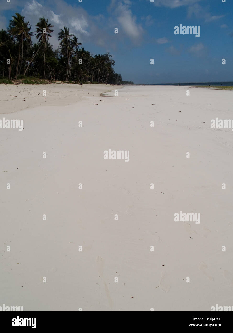kenya, beach, seaside, the beach, seashore, reef, salt water, sea ...