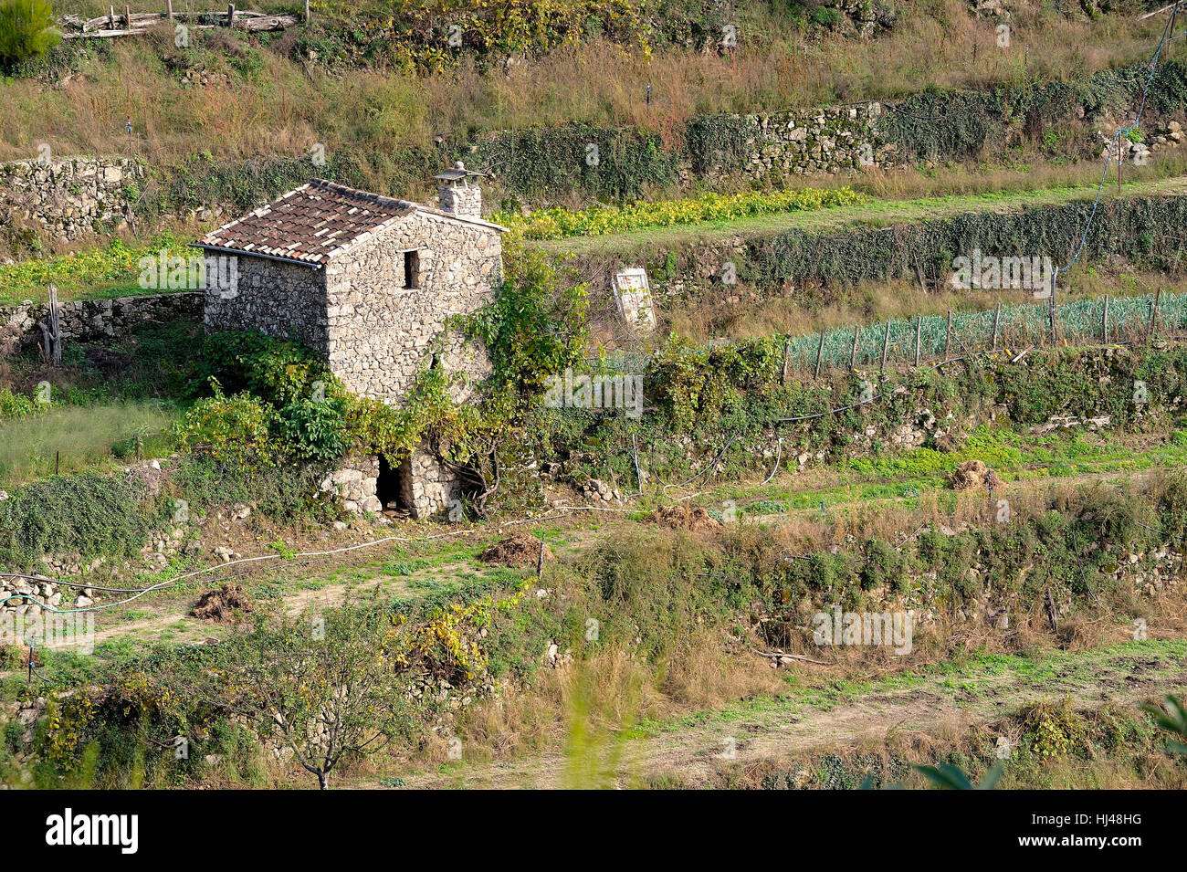 house, building, travel, europe, style of construction, architecture ...
