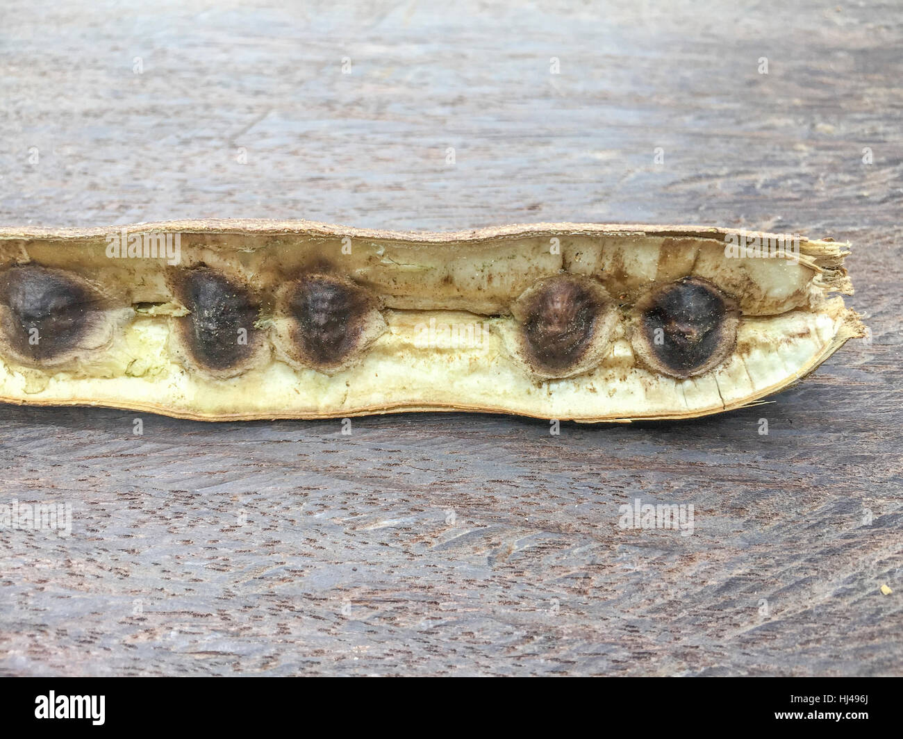 Moringa seeds and fruits Stock Photo - Alamy