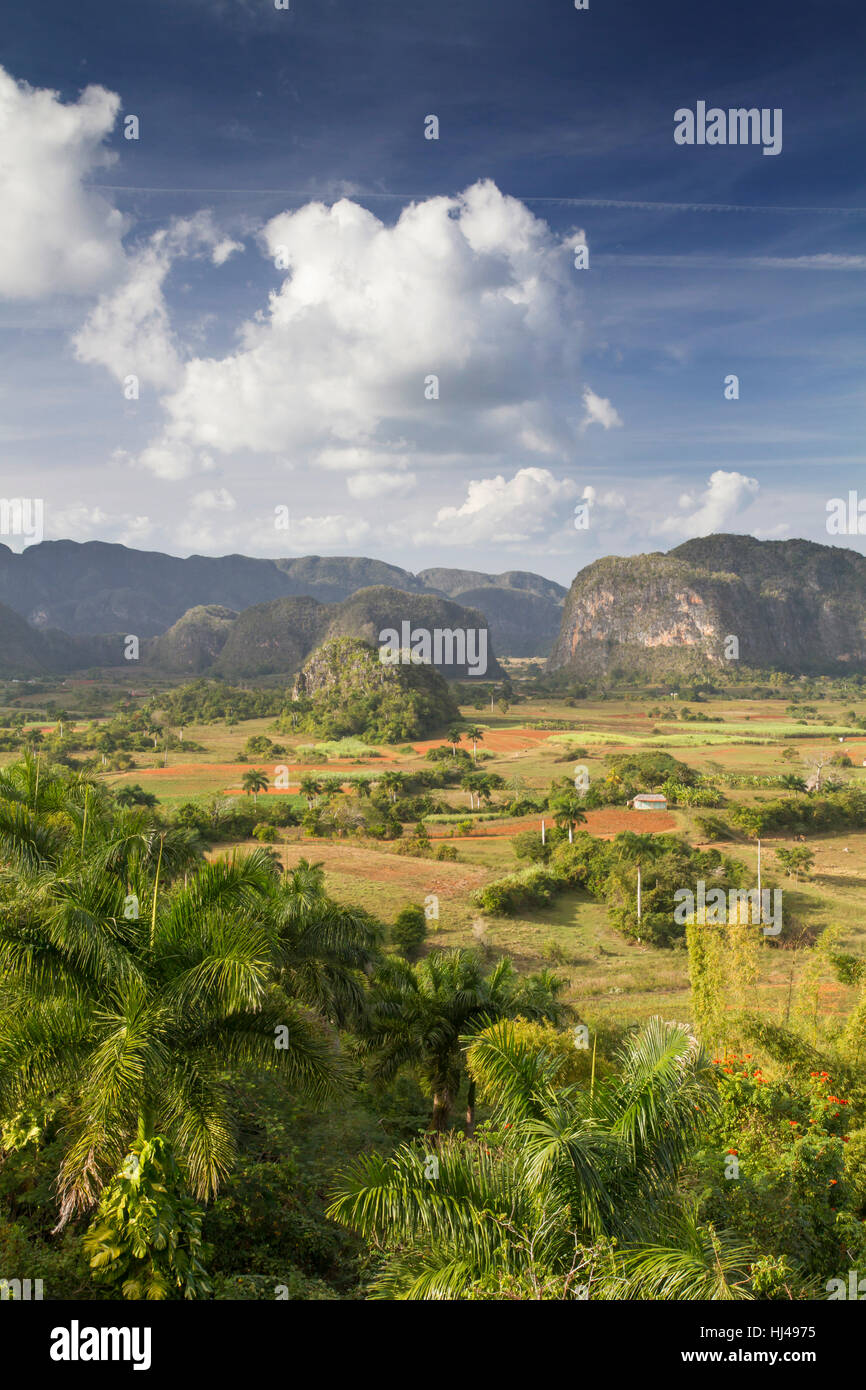 cuba, scenery, countryside, nature, house, building, hill, plant, green ...