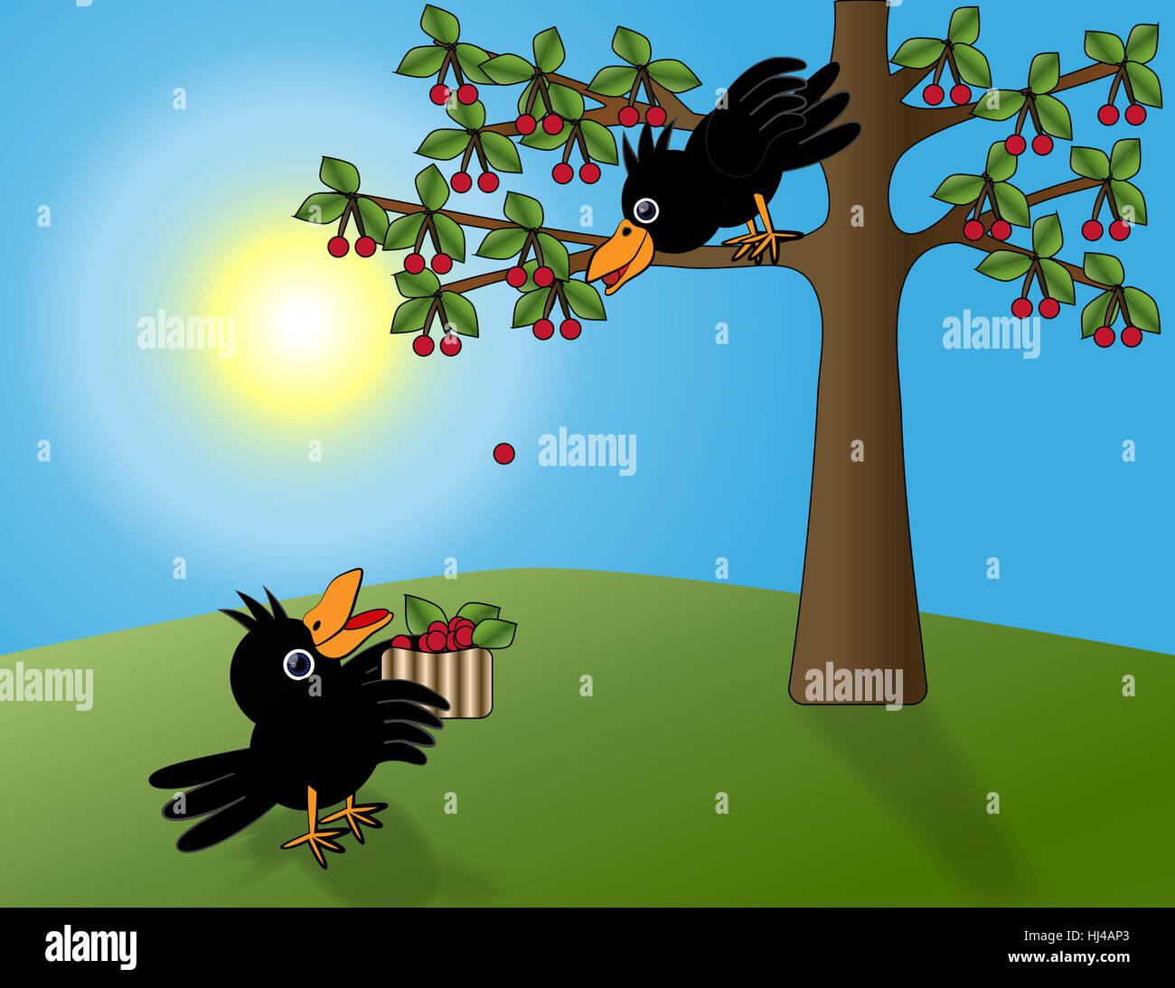 bird, birds, ravens, crows, raven, helpfulness, pick, bird, animals ...