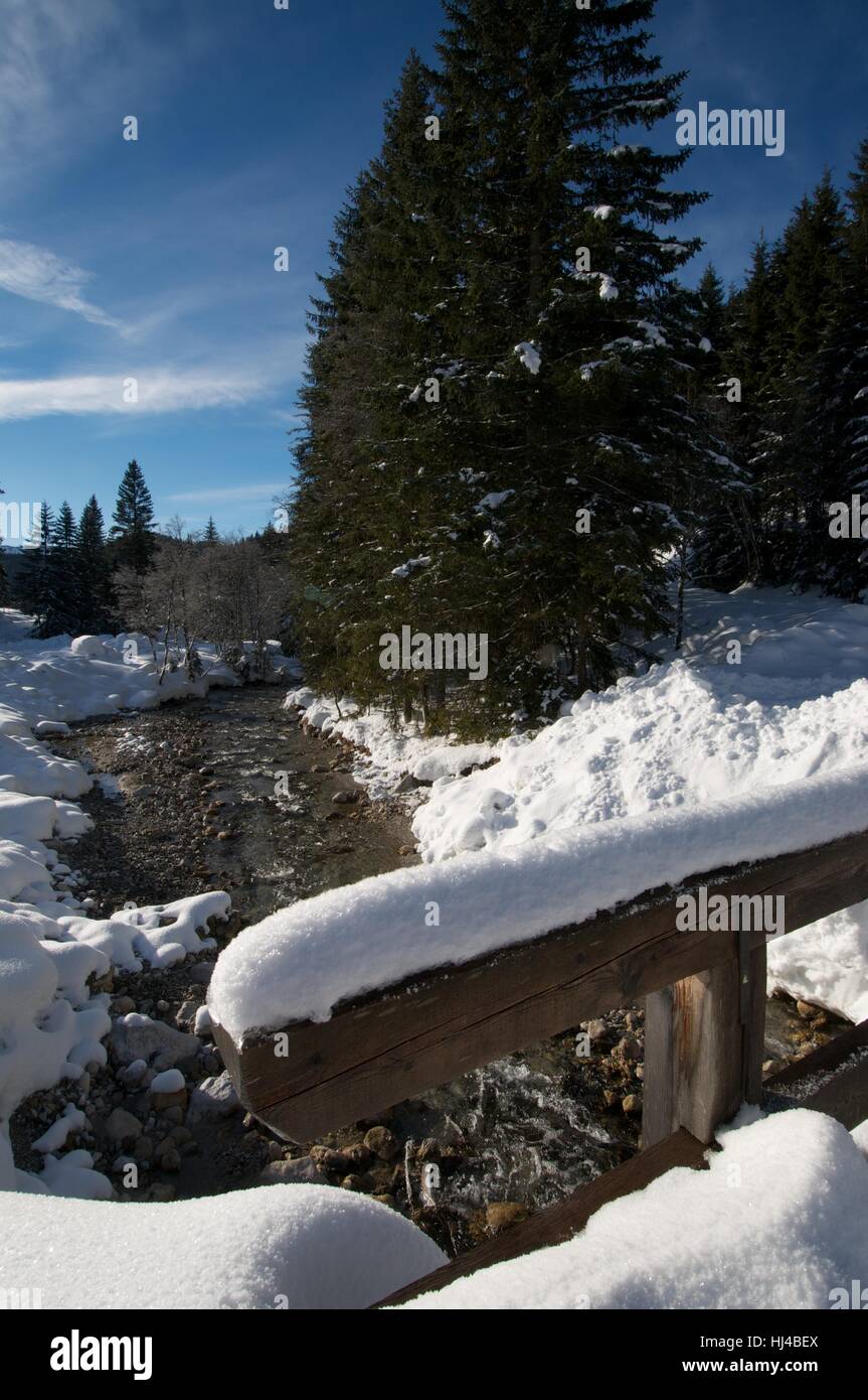 winter, bridge, winter landscape, snow, forest, shine, shines, bright ...