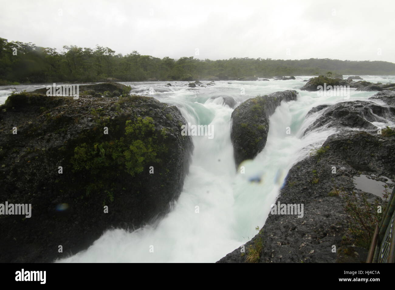 Tree trees chile waterfalls hi-res stock photography and images - Alamy