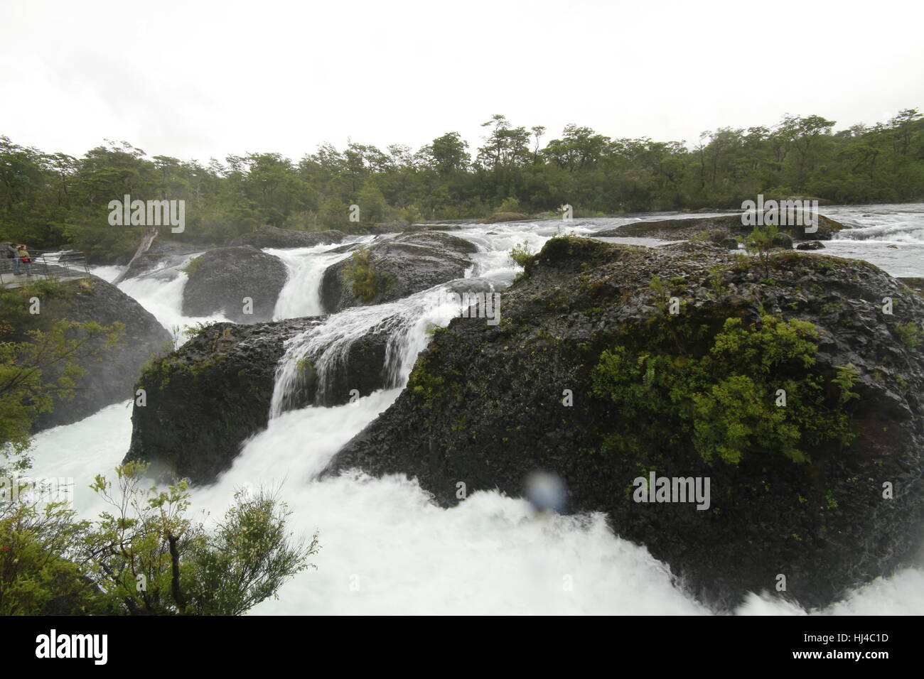 Tree trees chile waterfalls hi-res stock photography and images - Alamy