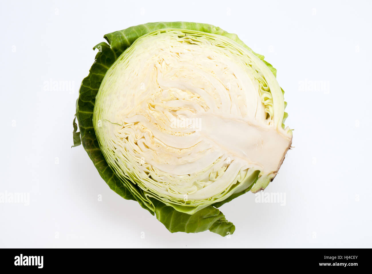 White Cabbage cross section on White Background Stock Photo - Alamy