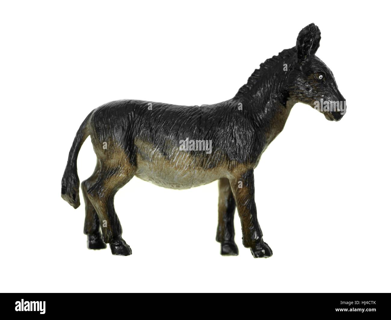 Farm animals isolated against a white background Stock Photo - Alamy