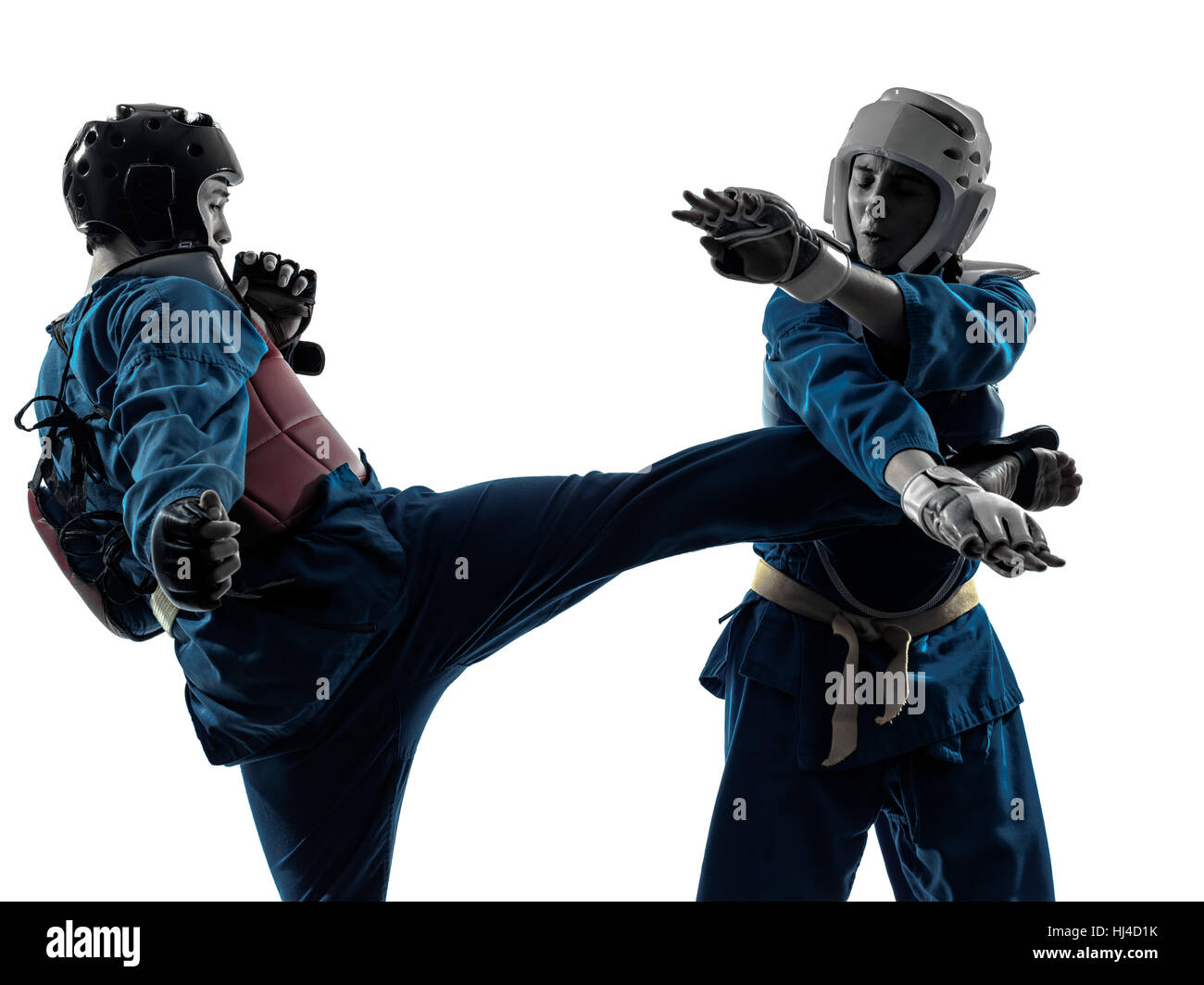 one caucasian man woman couple exercising karate vietvodao martial arts ...