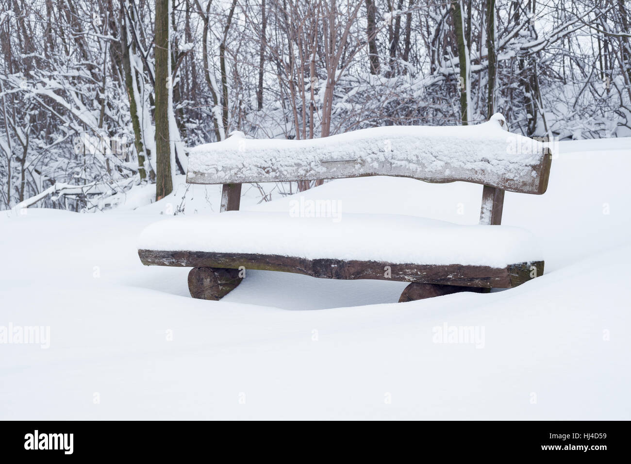 park, winter, snowfall, season, seat, bench, snow, park bench, forest ...
