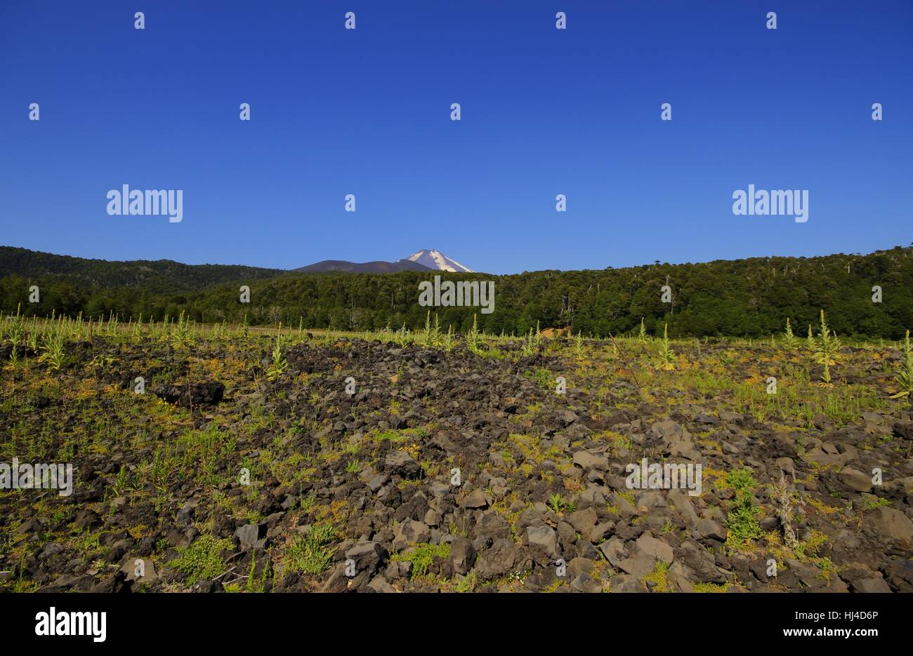 Inland south america hi-res stock photography and images - Alamy