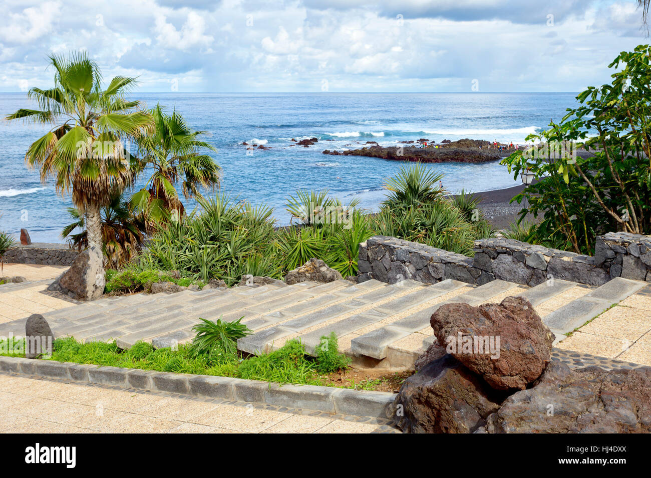 tree, garden, stone, cloud, beach, seaside, the beach, seashore, steps ...