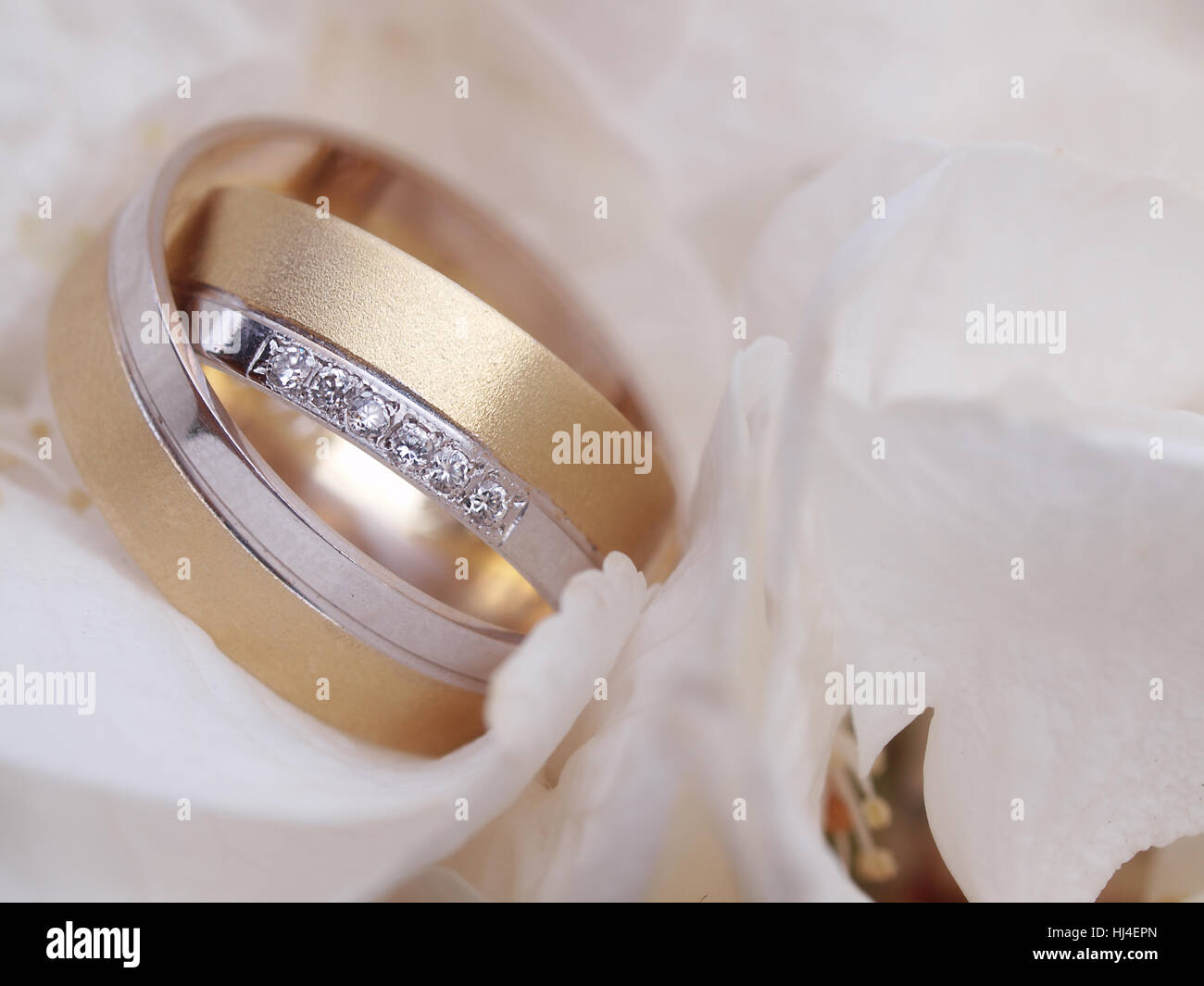 still life, ring, flower, plant, wedding, marriage, marriage ceremony ...