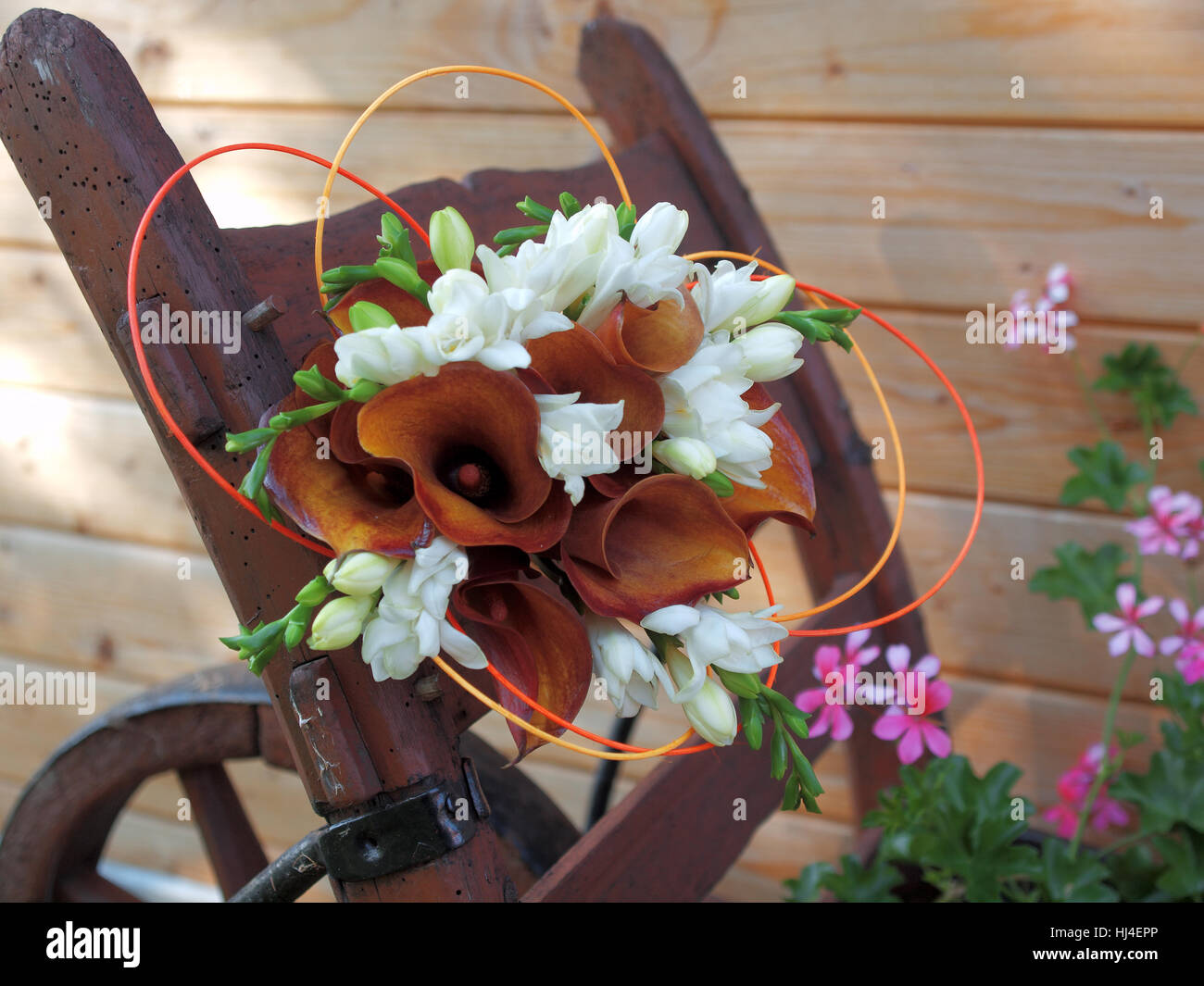 still life, ring, flower, plant, wedding, marriage, marriage ceremony ...