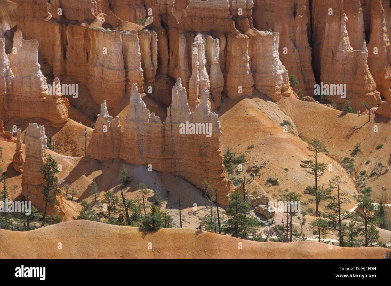 Hoodoos in Bryce Canyon National Park, USA, Utah Stock Photo - Alamy