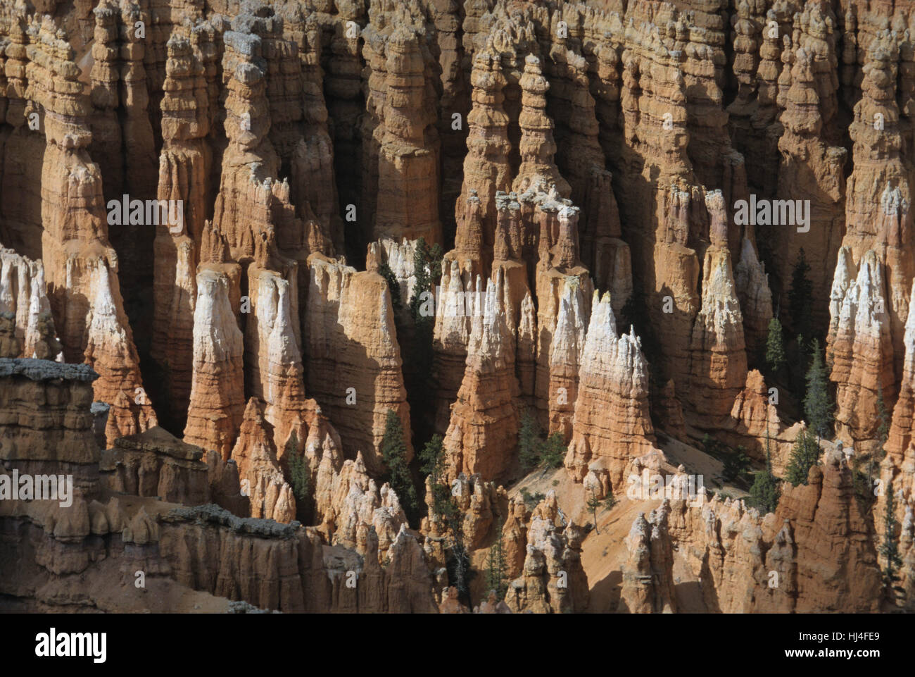 Hoodoos in Bryce Canyon, USA, America, Utah Stock Photo - Alamy