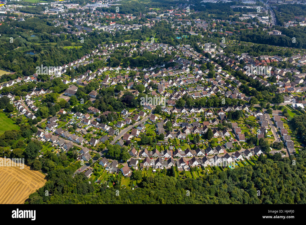 Dahlhauser heide hi-res stock photography and images - Alamy