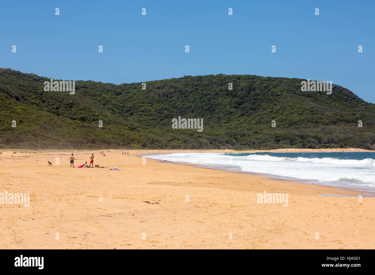 Putty Beach at Killcare on the New South Wales Central Coast,Australia ...