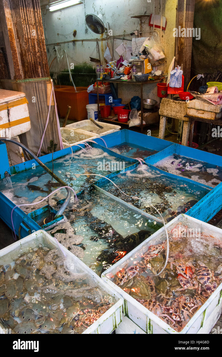 Traditional fresh fish market in Tai O village, Hong Kong Stock Photo ...