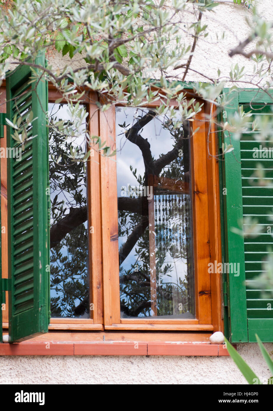 Tree reflection glass hi-res stock photography and images - Alamy