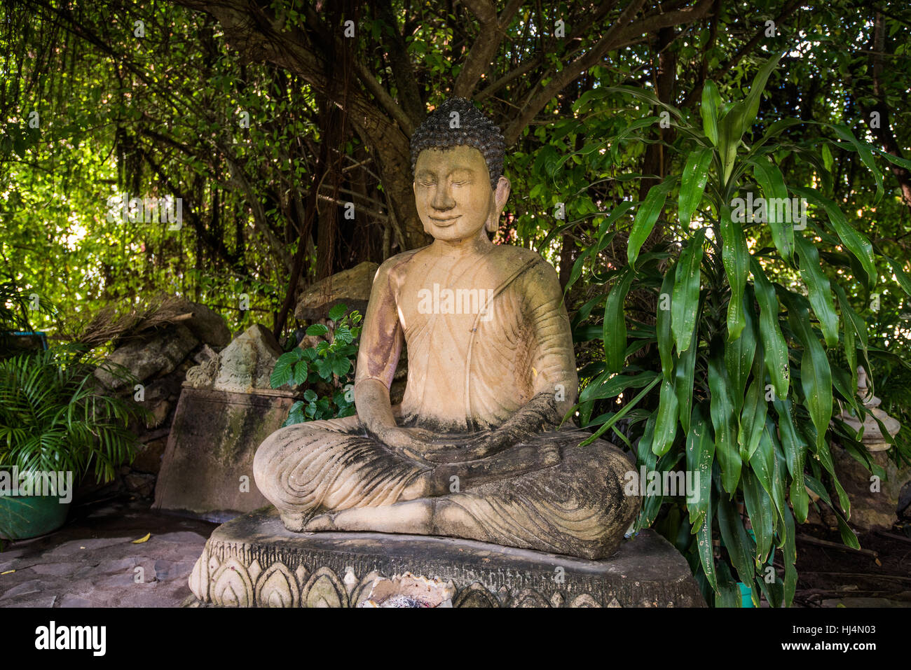 Buddha statue in forest hi-res stock photography and images - Alamy