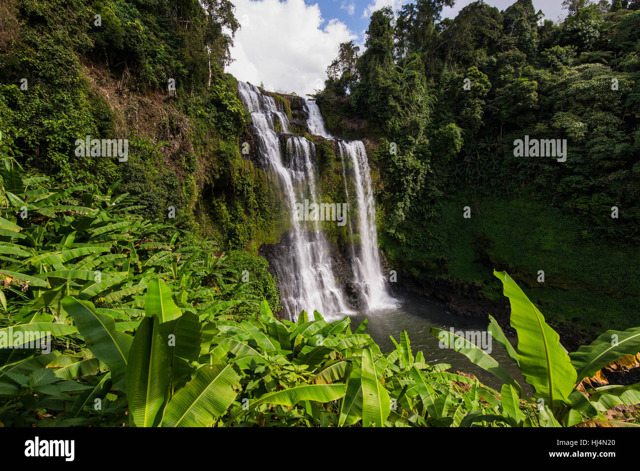 waterfall in deep forest at Pakse Laos Stock Photo - Alamy