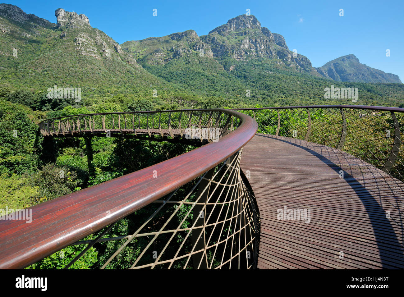Kirstenbosch botanical gardens walkway hi-res stock photography and ...