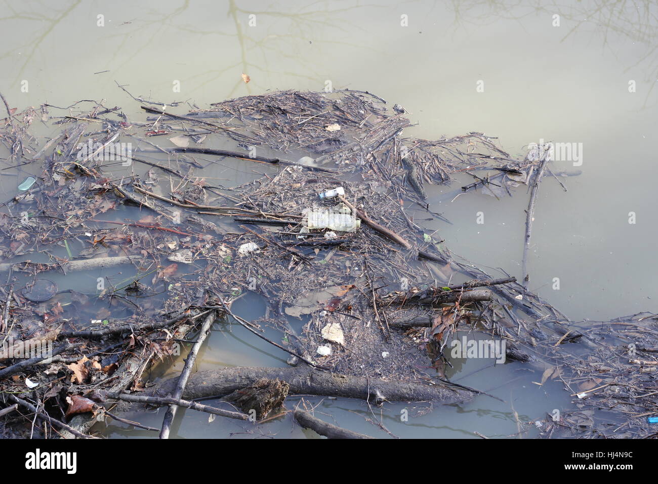 A collection of debris on muddy Spy Run Creek in Fort Wayne, Indiana ...