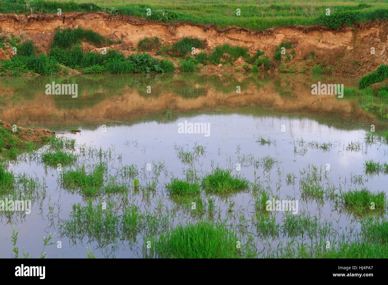 sand pit filled with water summer landscape,water,green grass Stock ...