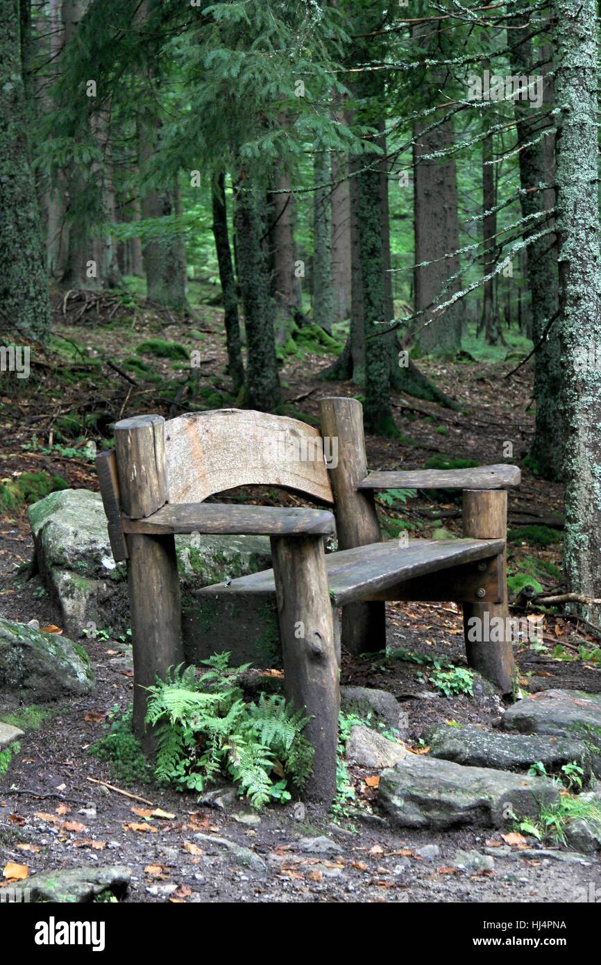 Sumava bohemian forest hi-res stock photography and images - Alamy