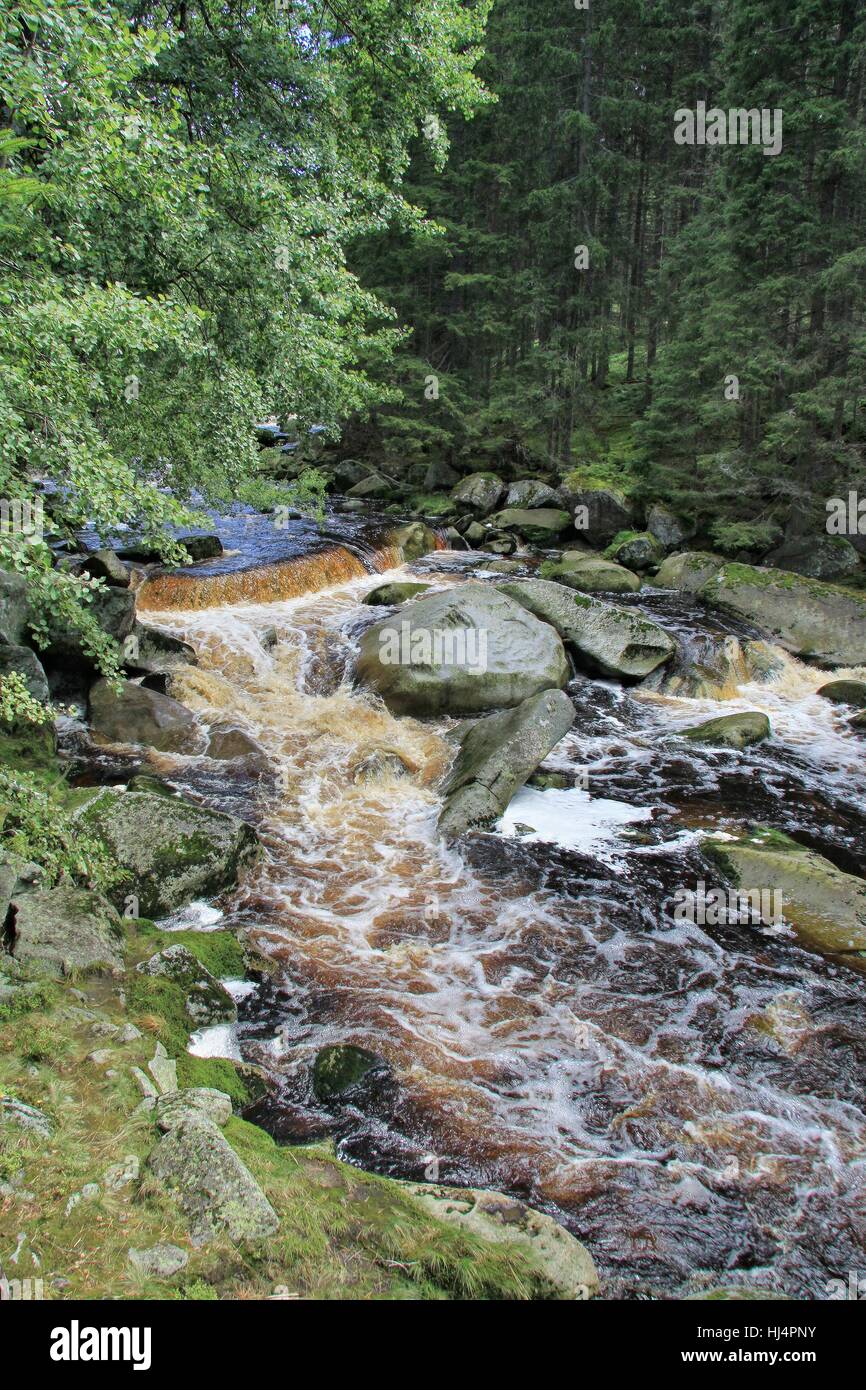 Sumava national park hi-res stock photography and images - Alamy
