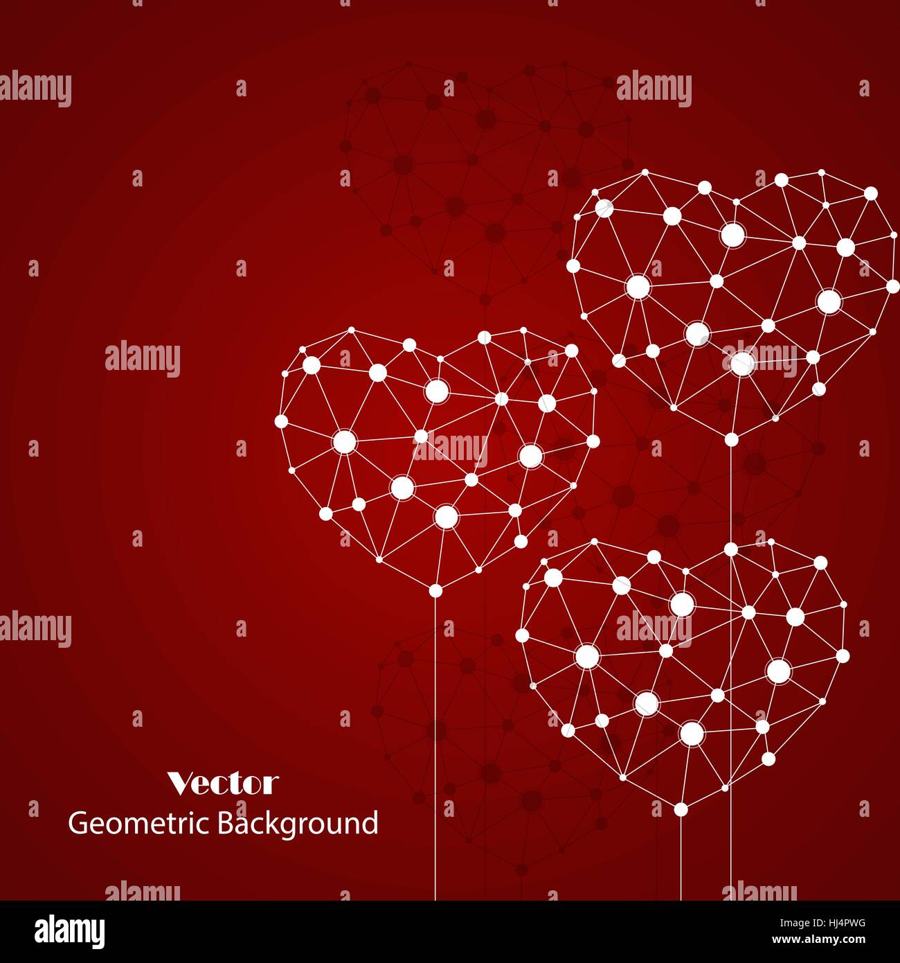 Computer model of the heart Stock Vector Images - Alamy
