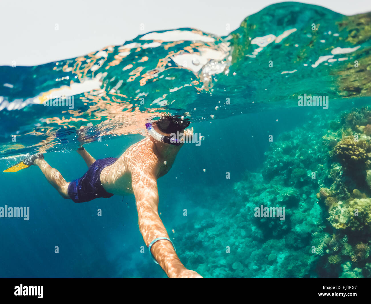 Underwater and surface split view in the tropics paradise with ...