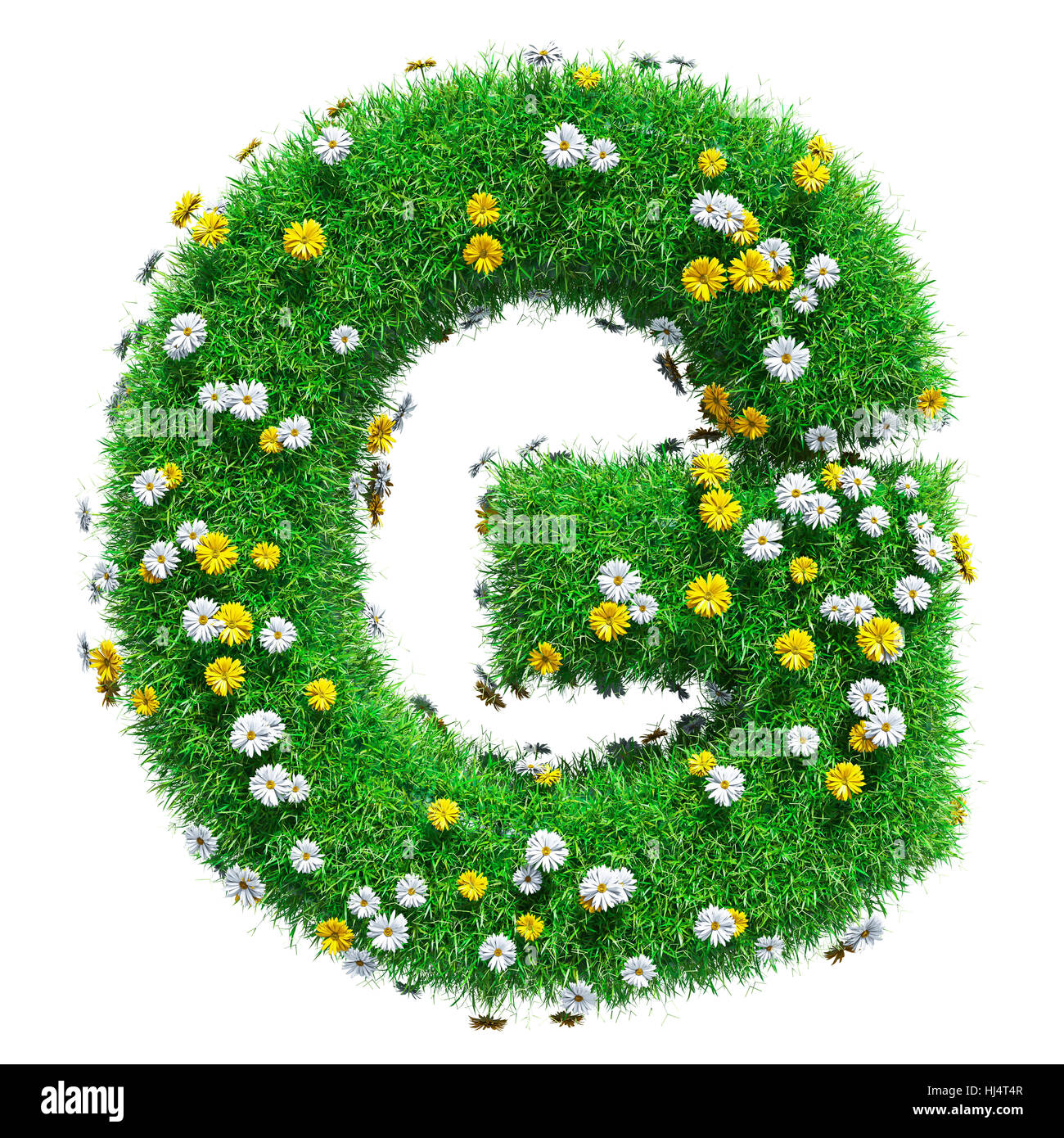 Letter G Of Green Grass And Flowers. Isolated On White Background. Font ...