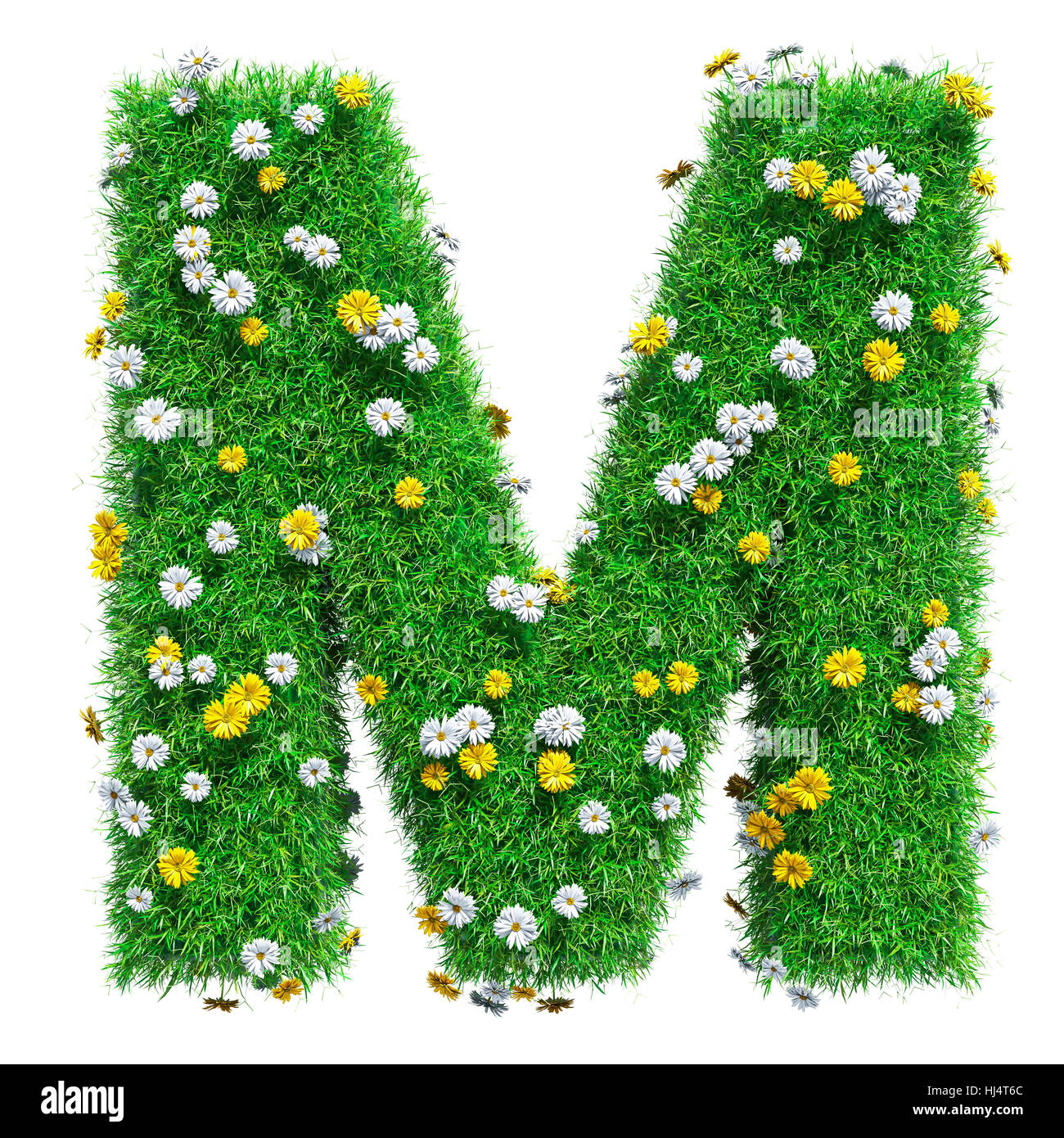 Letter M Of Green Grass And Flowers. Isolated On White Background. Font ...