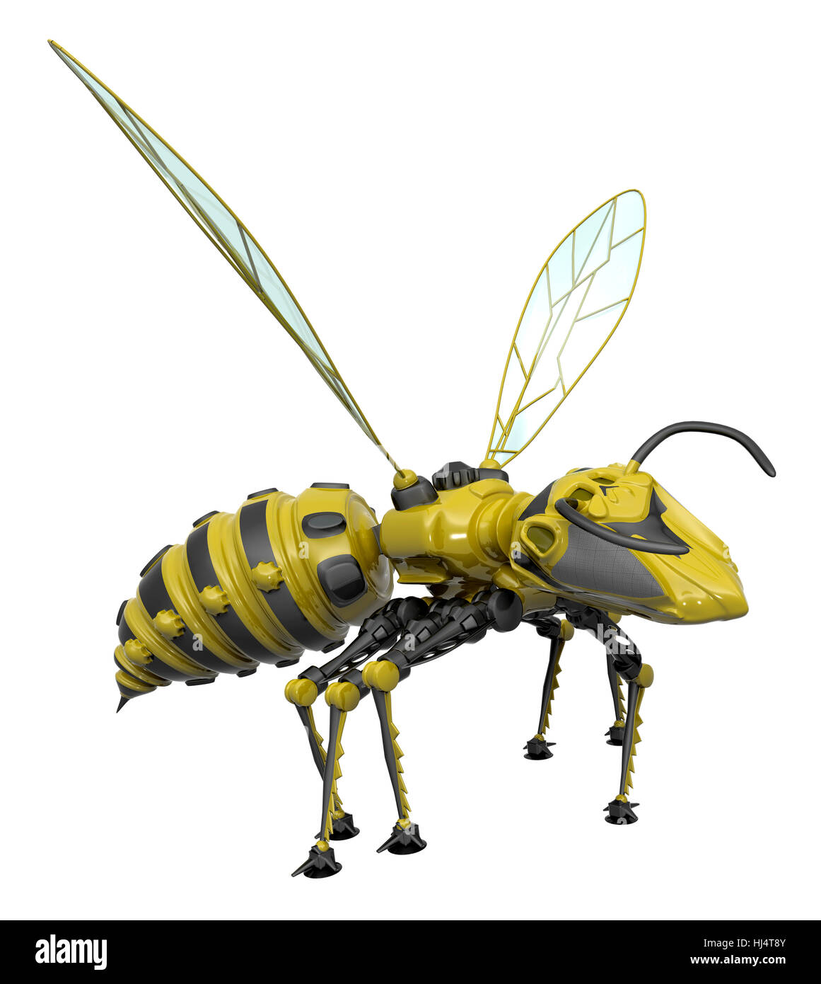 Venomous wasp hi-res stock photography and images - Alamy