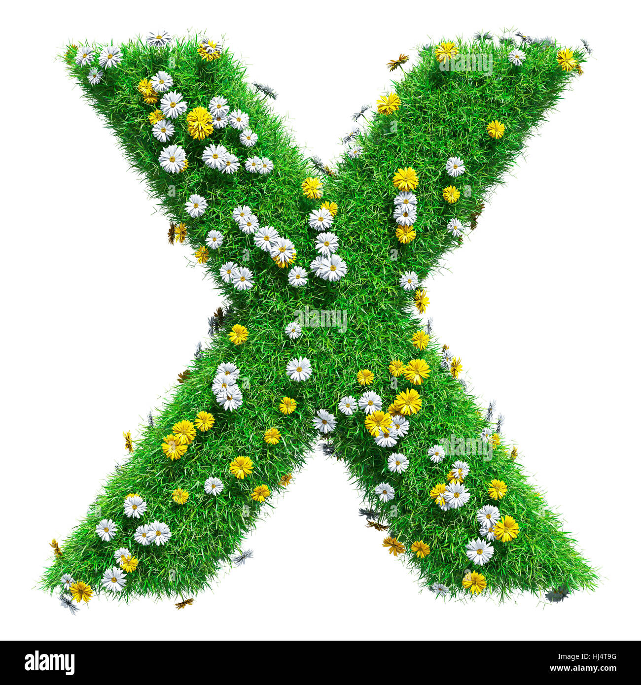 Letter X Of Green Grass And Flowers. Isolated On White Background. Font ...