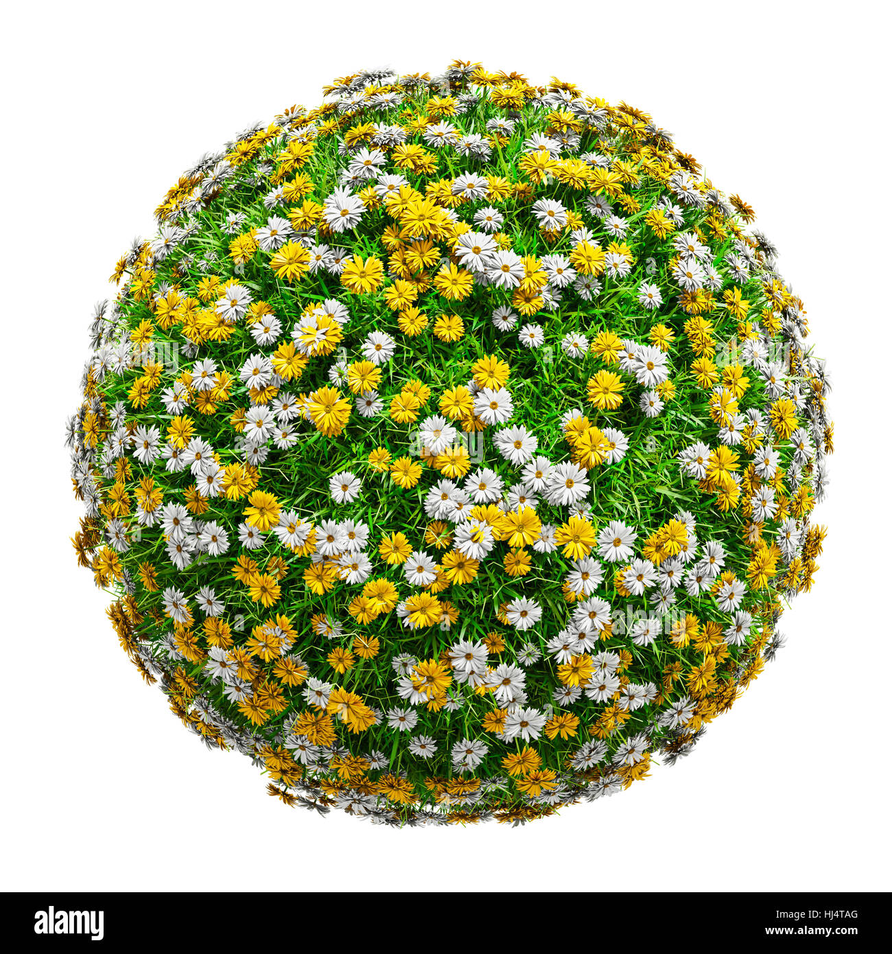 Natural grass arena with flowers isolated on white background. Arena ...