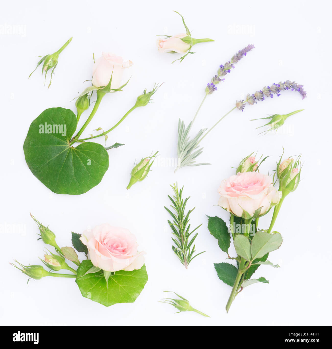 Garden fresh flowers Stock Photo - Alamy