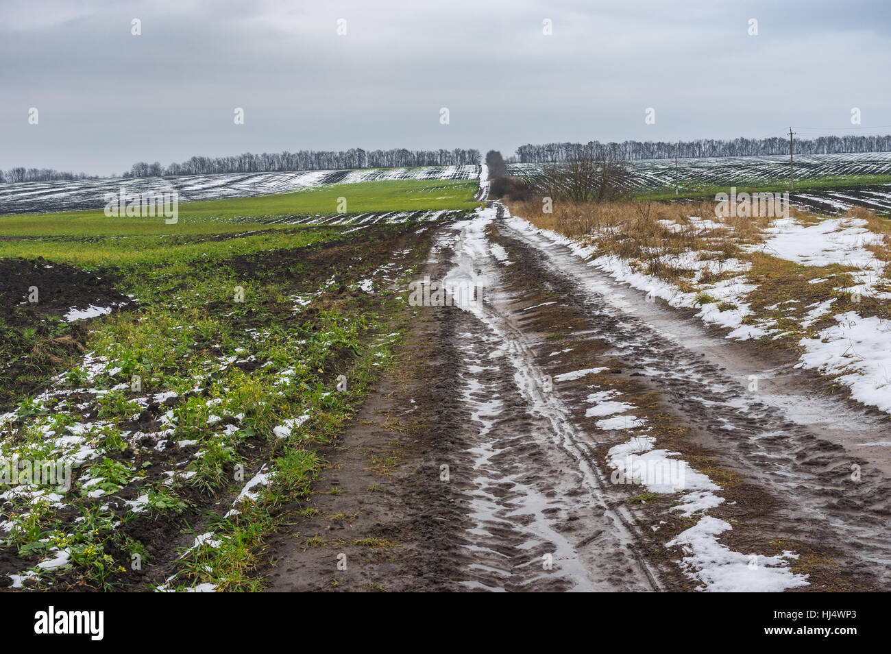 Landscape with an earth road between agricultural fields covered by ...