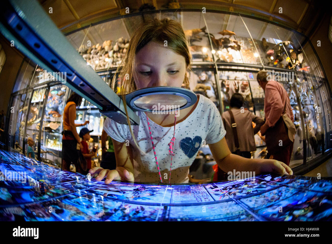 Interactive museum exhibit hi-res stock photography and images - Alamy