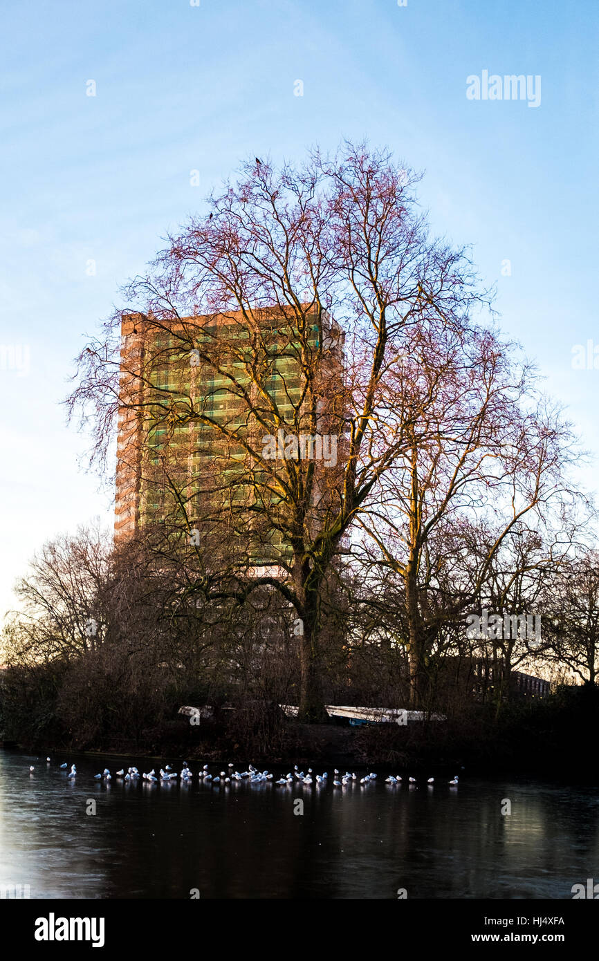 Beautiful sunny day in Southwark Park, landscape and nature Stock Photo ...