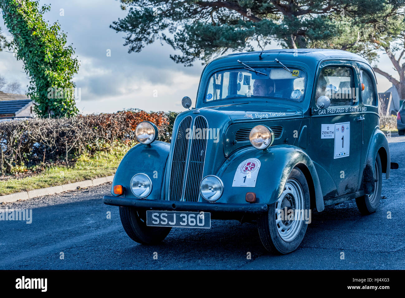 Flying tortoise hi-res stock photography and images - Alamy