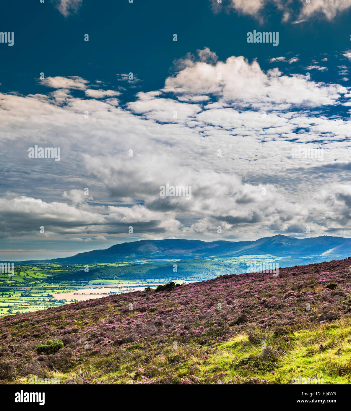 Slievenamon mountain hi-res stock photography and images - Alamy