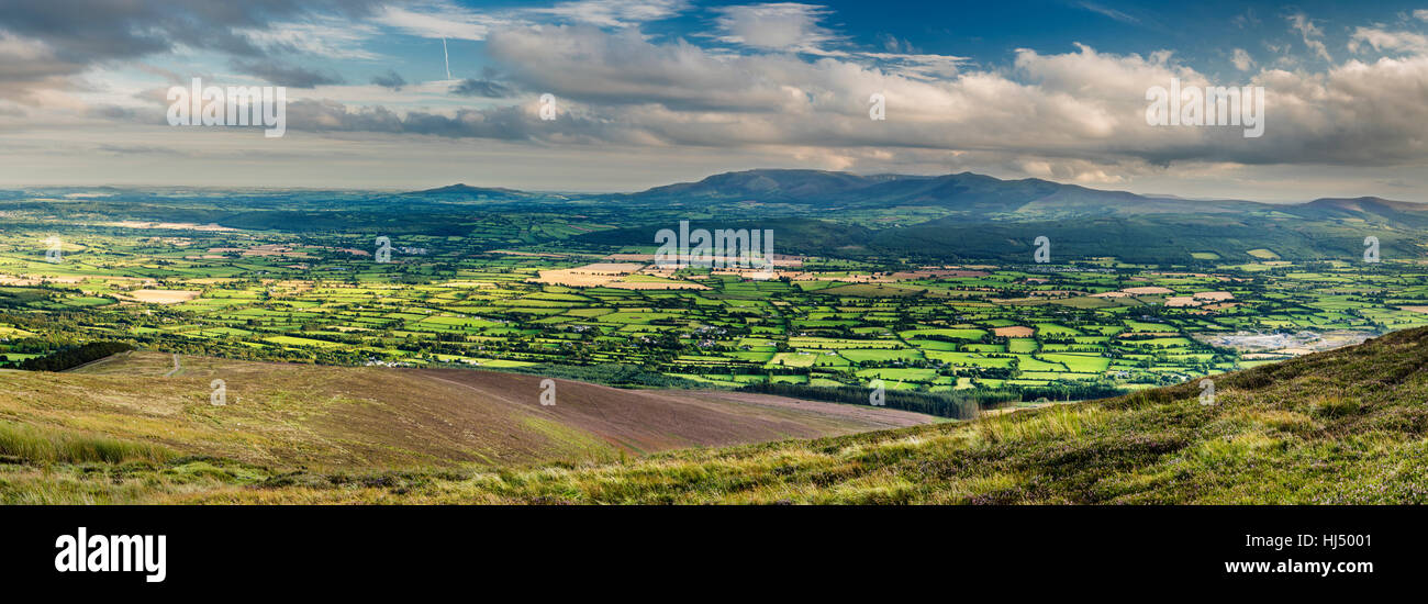 Ireland golden vale farmland hi-res stock photography and images - Alamy