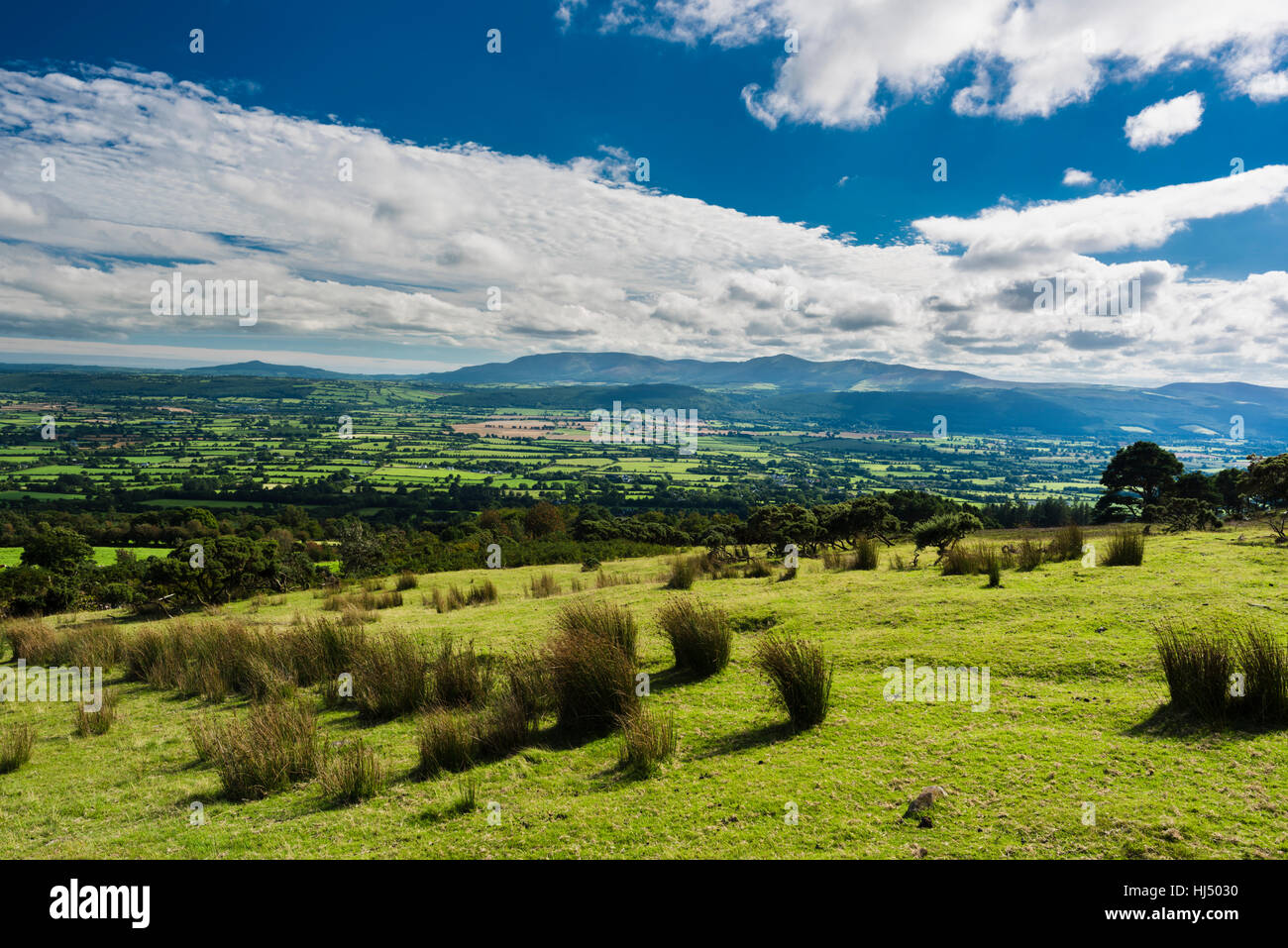 Irish midlands farmland hi-res stock photography and images - Alamy