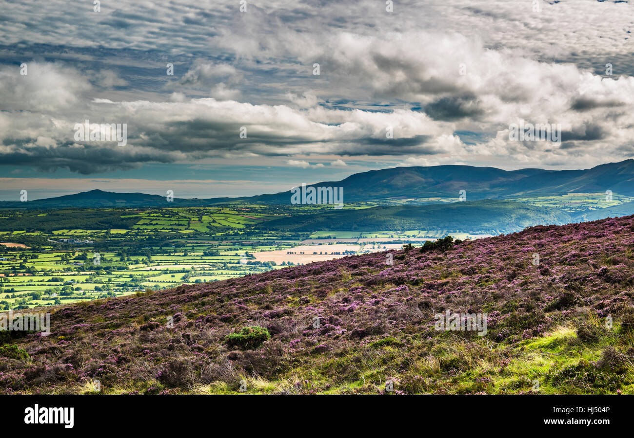 Golden vale county tipperary ireland hi-res stock photography and ...