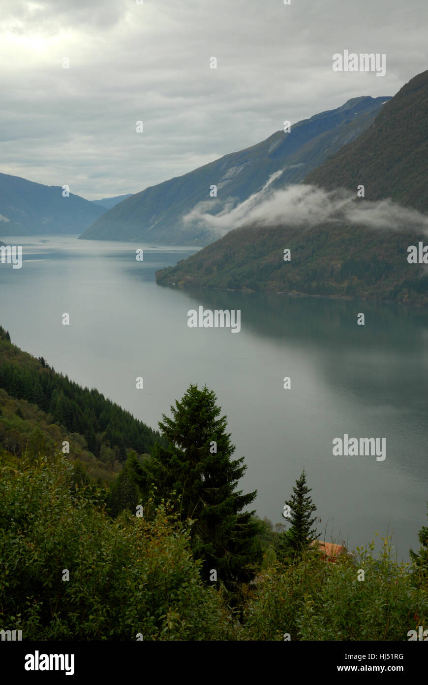 tree, trees, norway, fjord, firth, mountain, bank, clouds, shore, tree ...